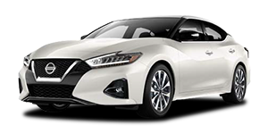 New Maxima 카탈로그